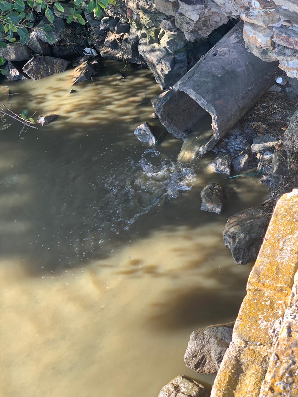 Sewage spill in Wharf Street - Talk of the Town