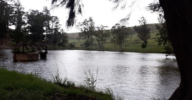 Body found in Makhanda's Grey Dam - Talk of the Town